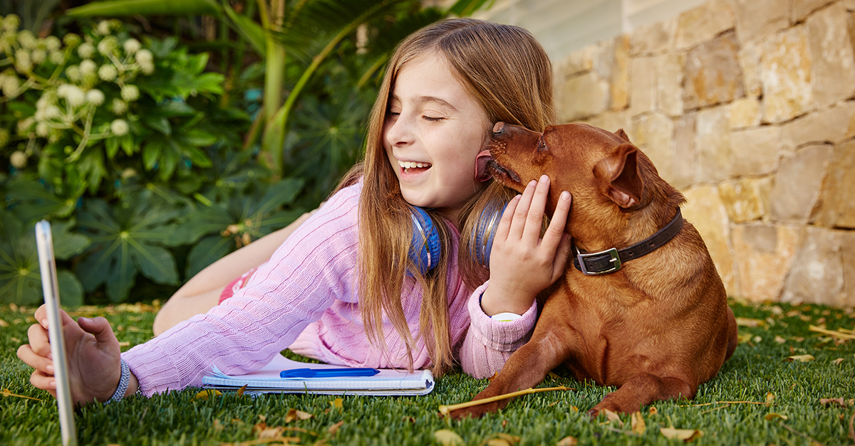 5 Reasons to Homeschool with Pets
