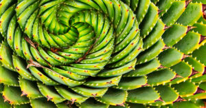 Fun Math Activities in Nature