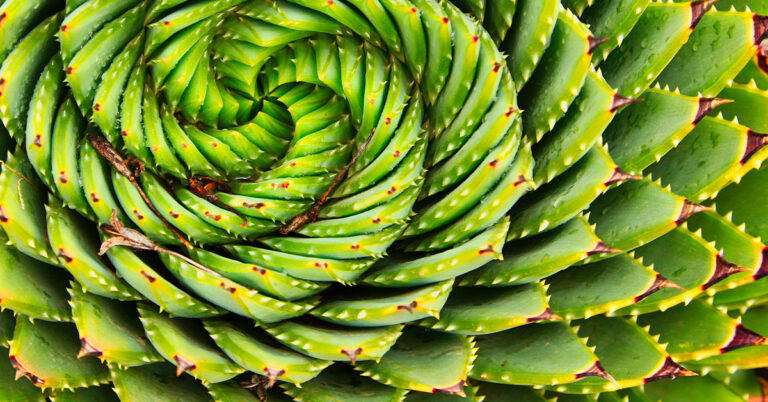 Fun Math Activities in Nature